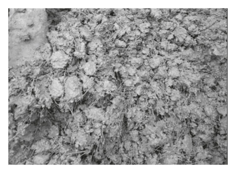 High Strength Concrete Steel Fiber: Enhancing Durability and ...